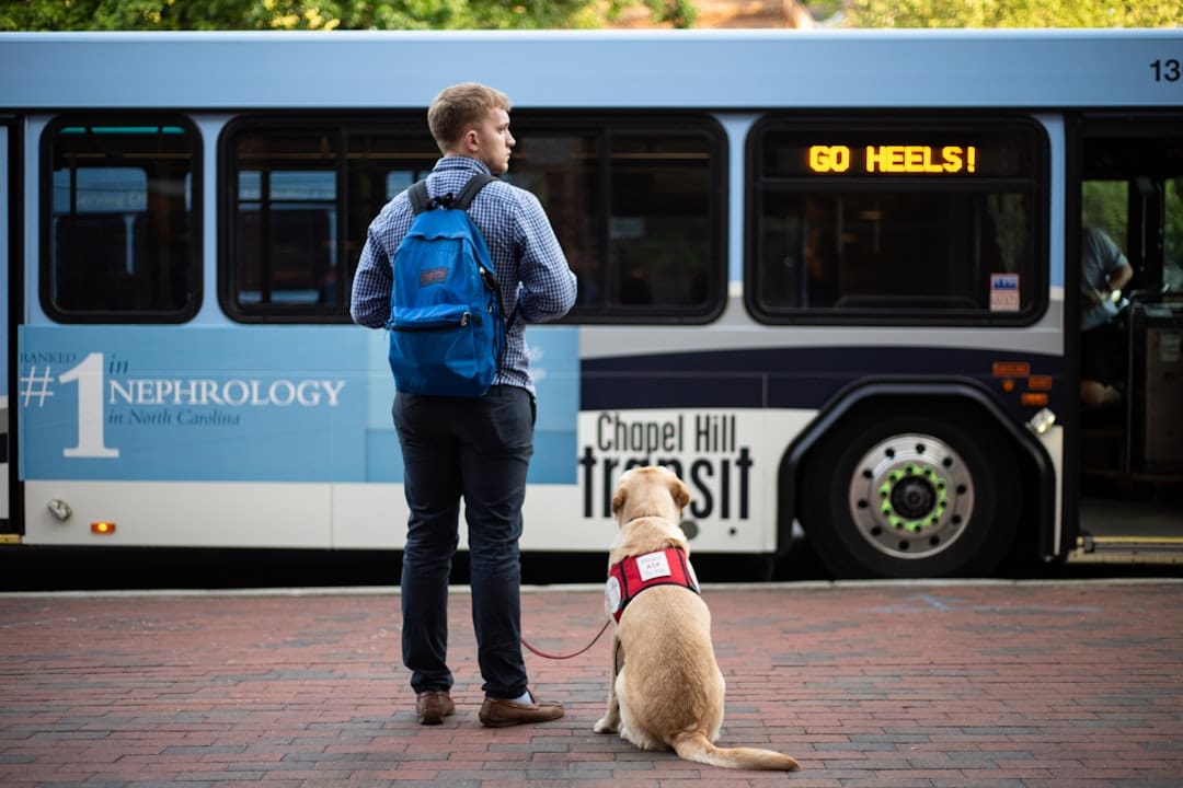 Service Dog Public Access Training: From Basic Skills to Real-World ...